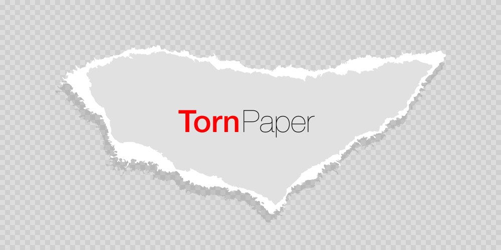 Torn paper rolled strip over grey realistic Vector Image