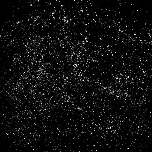 Black and white fleck background Royalty Free Vector Image