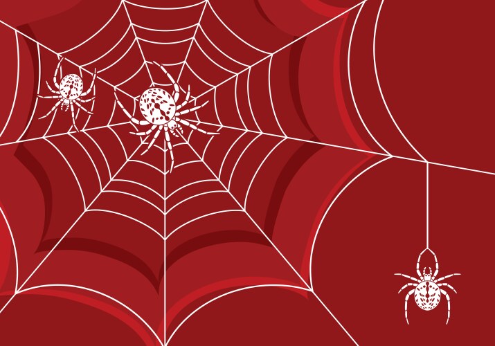 Cobweb red background Royalty Free Vector Image
