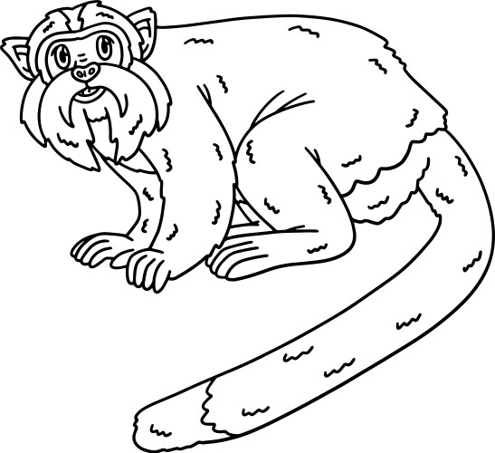 Golden lion tamarin monkey coloring page for kids Vector Image