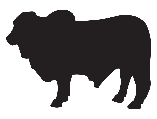 Brahman bull silhouette art Royalty Free Vector Image