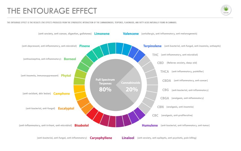Entourage Vector Images (over 680)