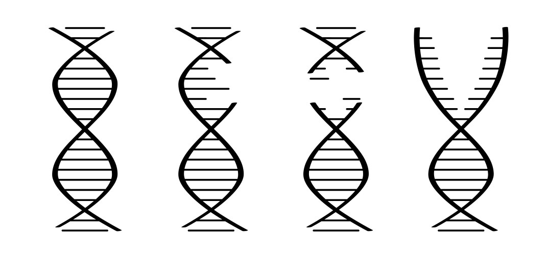 Dna break or broken string double helix Royalty Free Vector Dna break or broken string double helix Royalty Free Vector