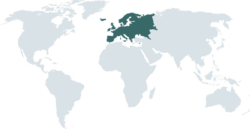 Europe Asia Map Vector Images (over 26,000)