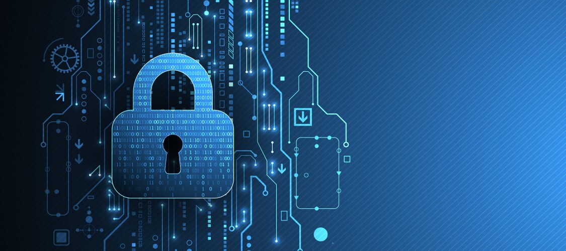 Cyber security or network protection system Vector Image