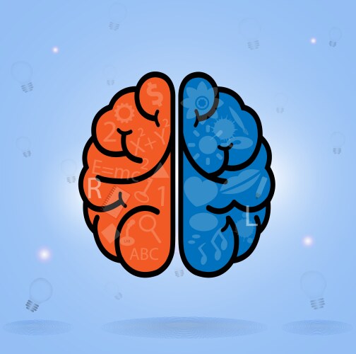 Human left and right brain cartoon Royalty Free Vector Image
