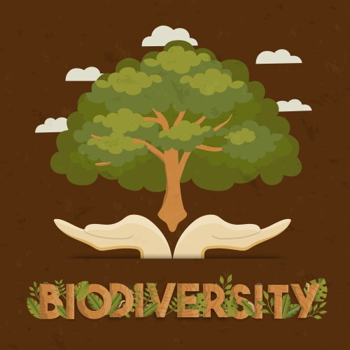 Biodiversity Posters Vector Images (over 690)