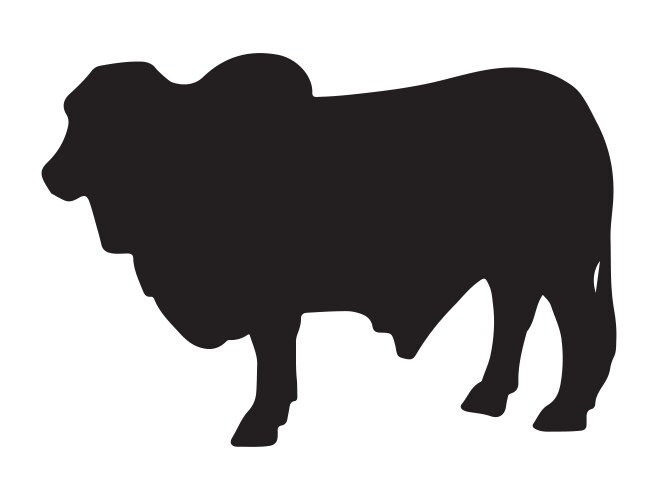 Brahman bull silhouette art Royalty Free Vector Image