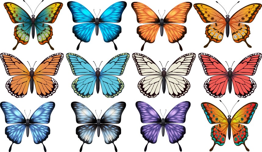 Assorted Vector Images (over 46,000)