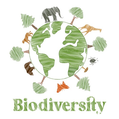 Biodiversity Poster Project