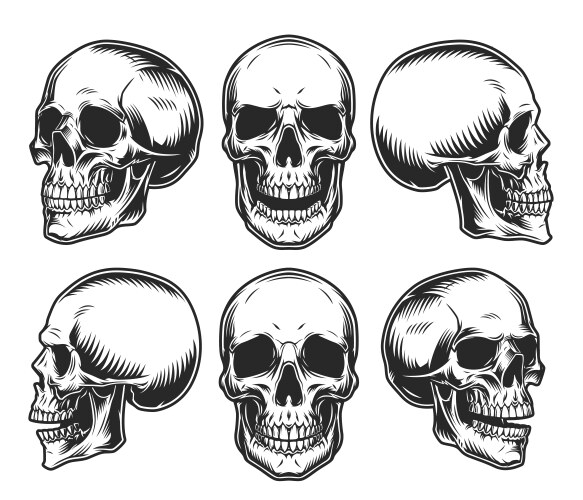 Skulls Vector Images (over 250,000)