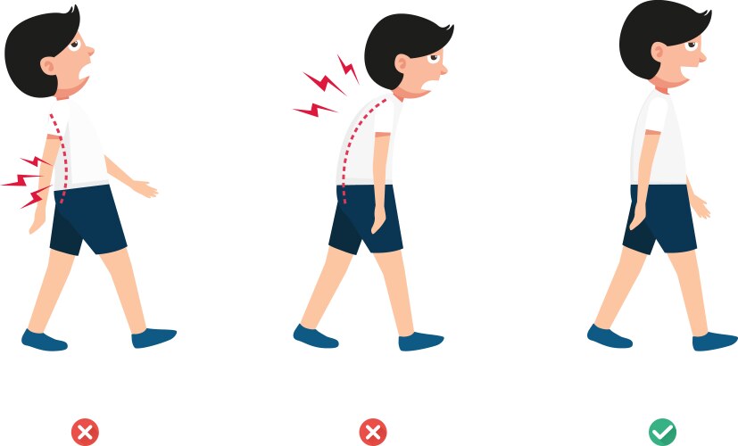 Wrong and correct walking posture Royalty Free Vector Image