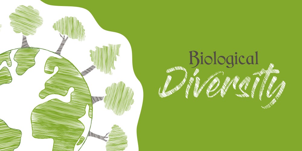 Biodiversity Poster Project