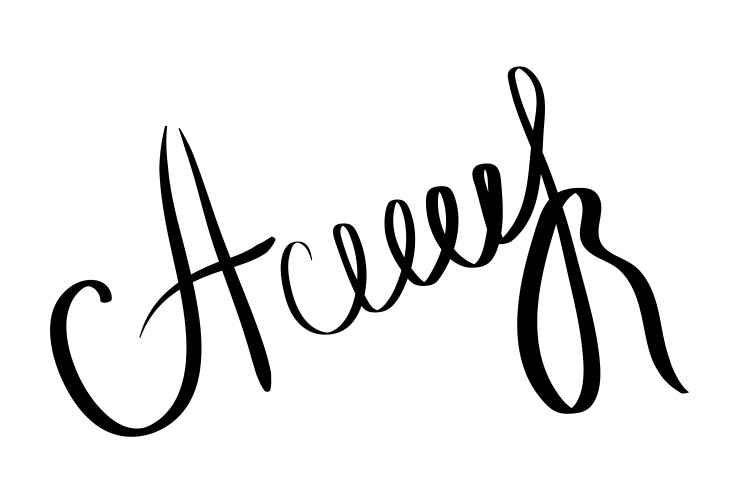 Fake handwritten signature scribble for business Vector Image