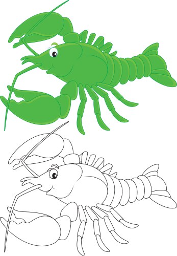 Crawfish Outline Vector Images (over 480)