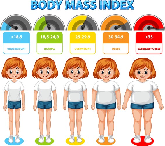 Visual representation of bmi categories and ranges