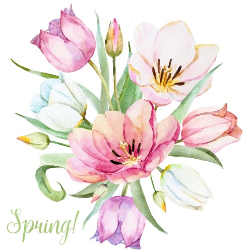 Watercolor spring flowers Royalty Free Vector Image