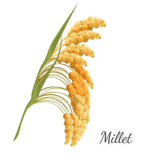Millet Logo Vector Images (over 370)