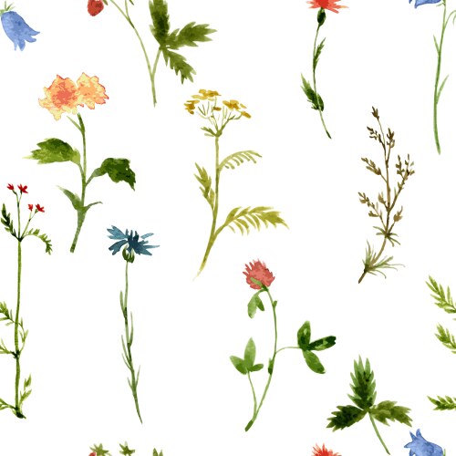 Watercolor Wildflower Pattern Royalty Free Vector Image