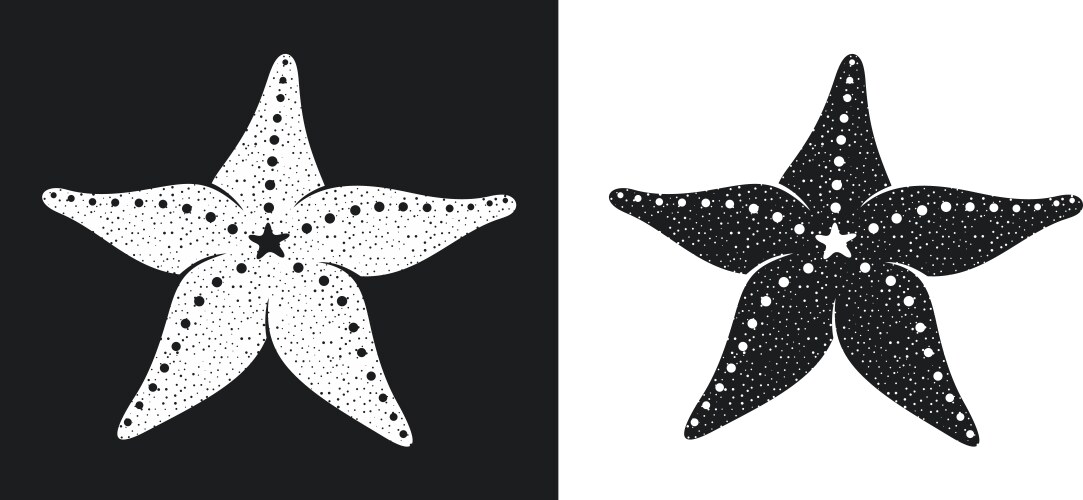 Starfish Vector Images (over 42,000)