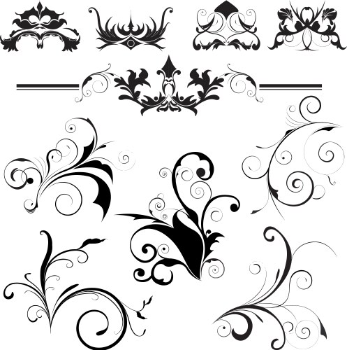 Floral design elements Royalty Free Vector Image