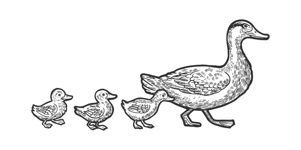 Duck Vector Images (over 64,000)