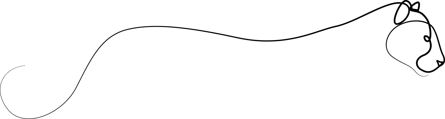 Lioness head continuous one line drawing front Vector Image