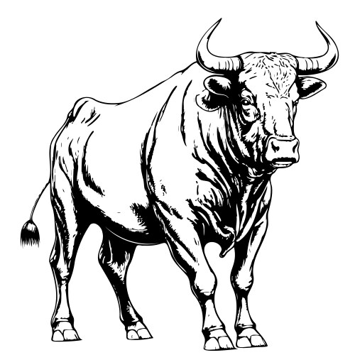 Farm animal sketch hand drawn bull standing full Vector Image