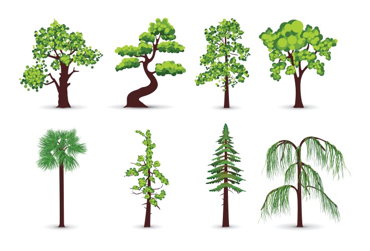 Tree Vector Images (over 1.5 million)