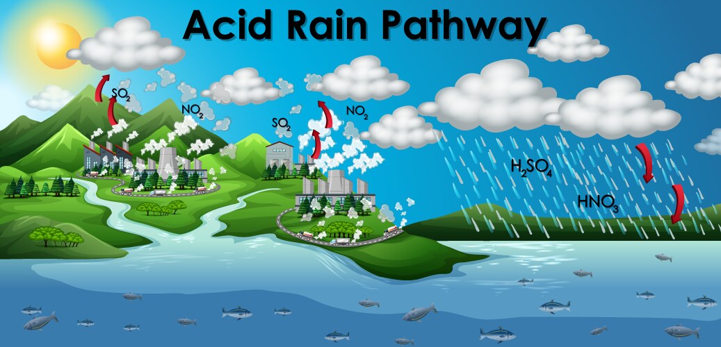 Pathway diagram Vector Images & Graphics for Commercial Use | VectorStock