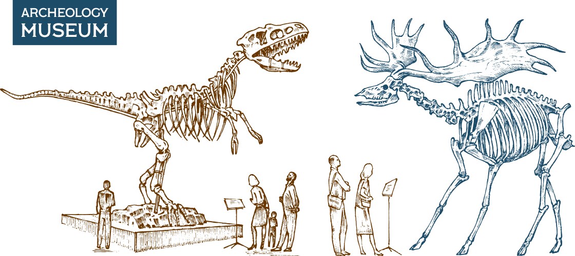 Museum Frame Vector Images (over 8,800)