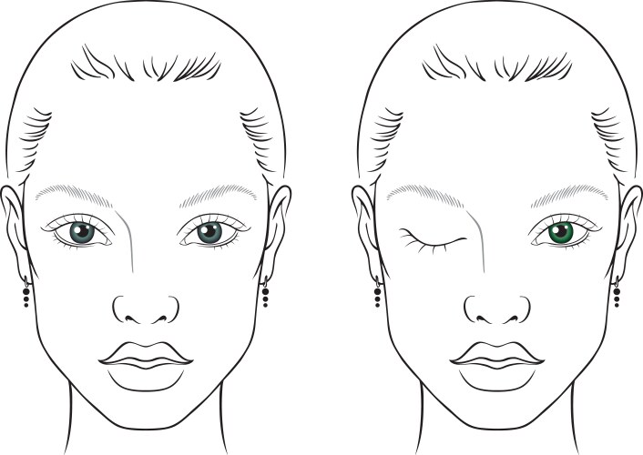 Woman Face Vector Images (over 350,000)