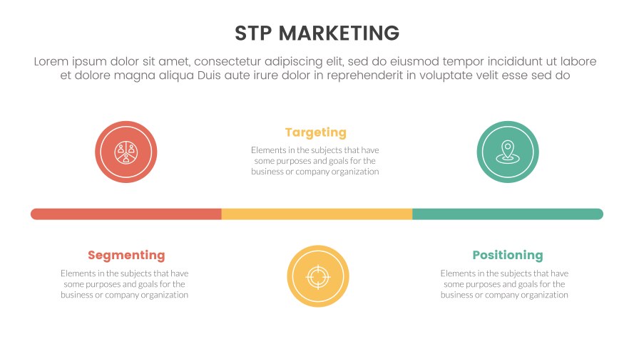 Stp marketing strategy model for segmentation Vector Image