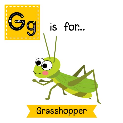 Letter e tracing crawling earwig insect Royalty Free Vector