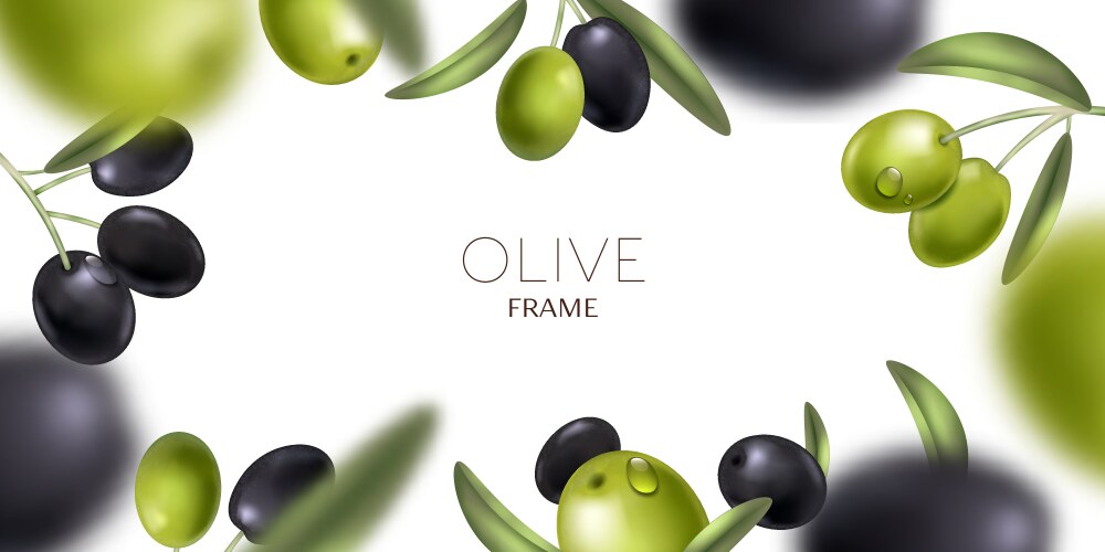 Olive realistic set Royalty Free Vector Image - VectorStock