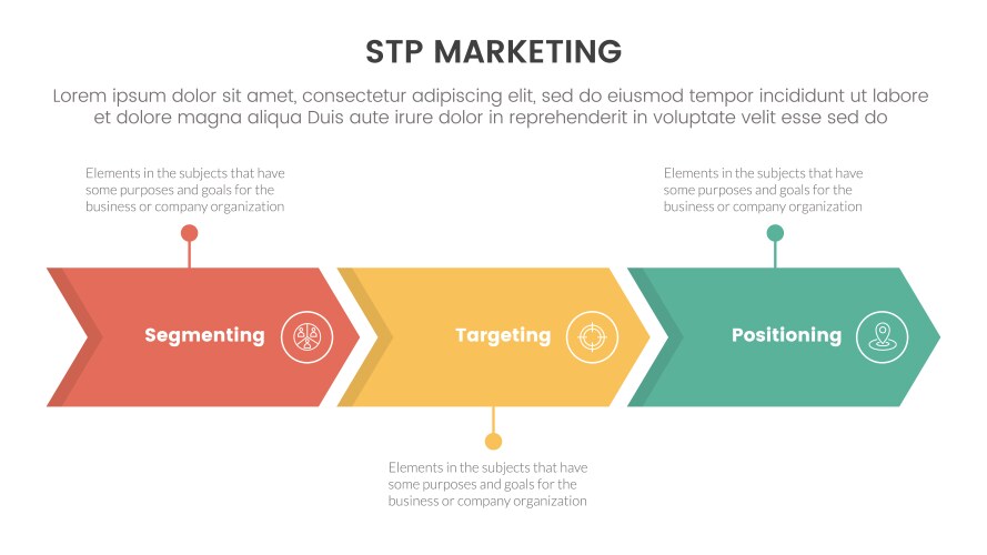 Stp marketing strategy model for segmentation Vector Image