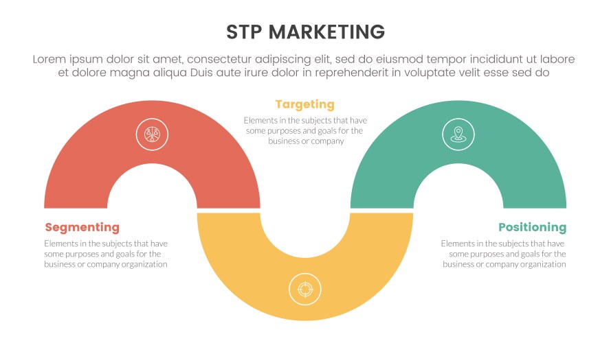 Stp marketing strategy model for segmentation Vector Image