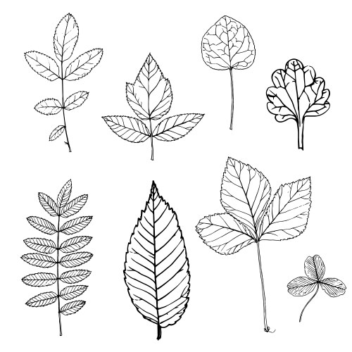 Plant Vector Images (over 2 million)