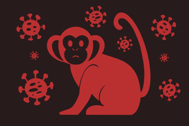 Banner with monkeypox virus symptoms Royalty Free Vector