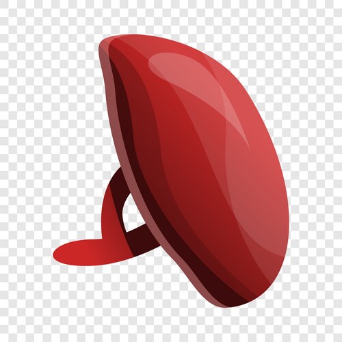 Human spleen icon cartoon style Royalty Free Vector Image