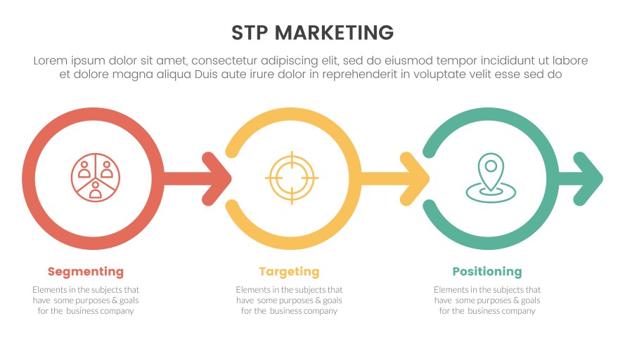 Stp marketing strategy model for segmentation Vector Image
