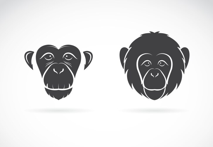 Monkey Face Vector Images (over 16,000)