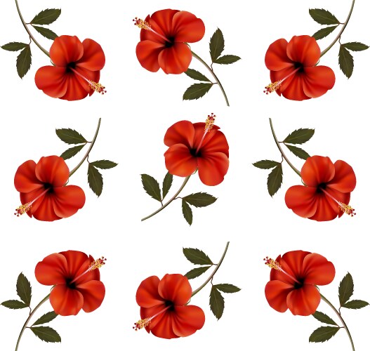 Set of red rose flower blooms with green leaves Vector Image