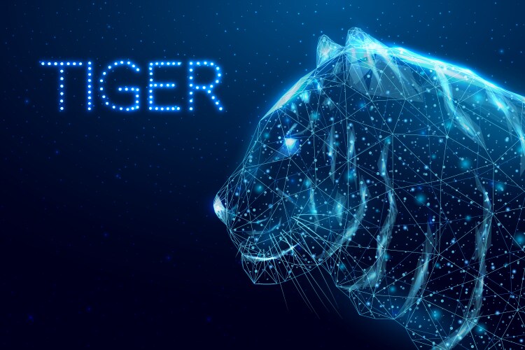 Polygon Tiger Vector Images (over 480)