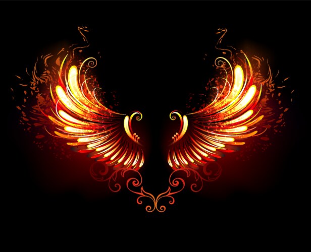 Fire wings Royalty Free Vector Image - VectorStock