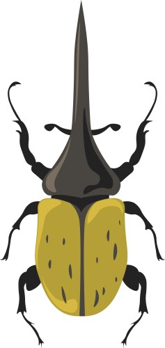 Hercules Beetle Vector Images (over 190)