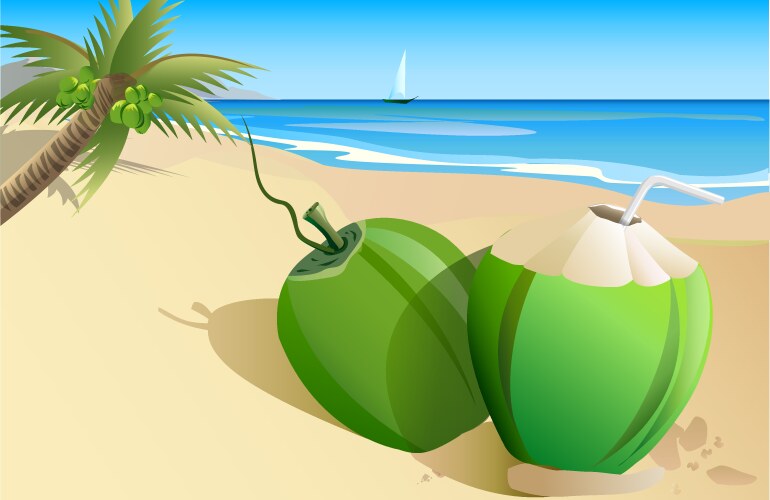 Organic coconut water poster banner template Vector Image