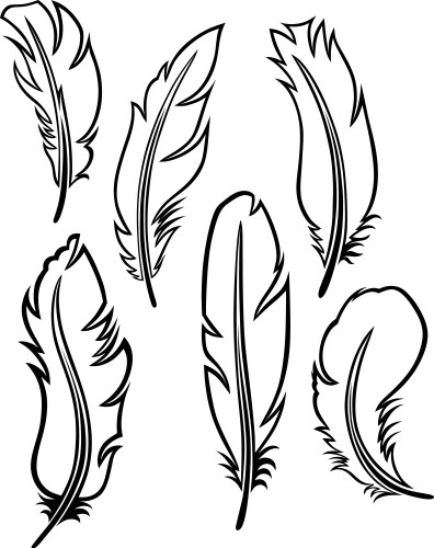 Feather set Royalty Free Vector Image - VectorStock