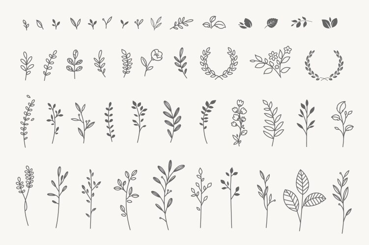 Line art floral elements Royalty Free Vector Image