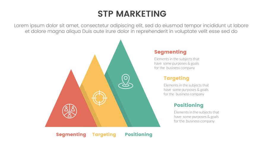 Stp marketing strategy model for segmentation Vector Image